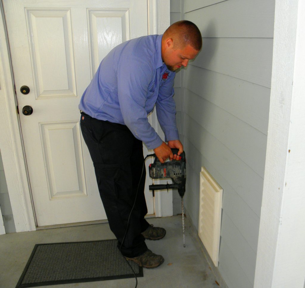 Termite Treatment - The Pest Force » The Pest Force